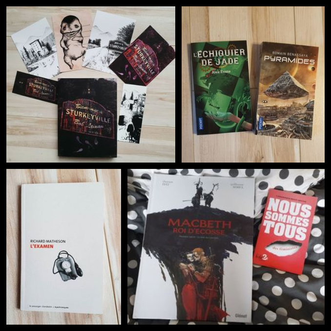 Ils ont rejoint ma PAL (110) - RSF Blog